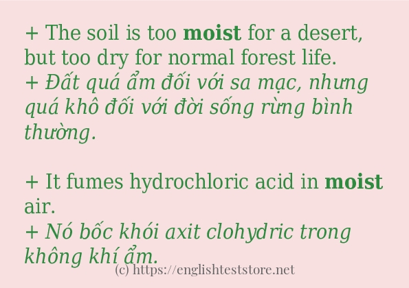 "moist" cách sử dụng và câu ví dụ - EnglishTestStore Tiếng Việt
